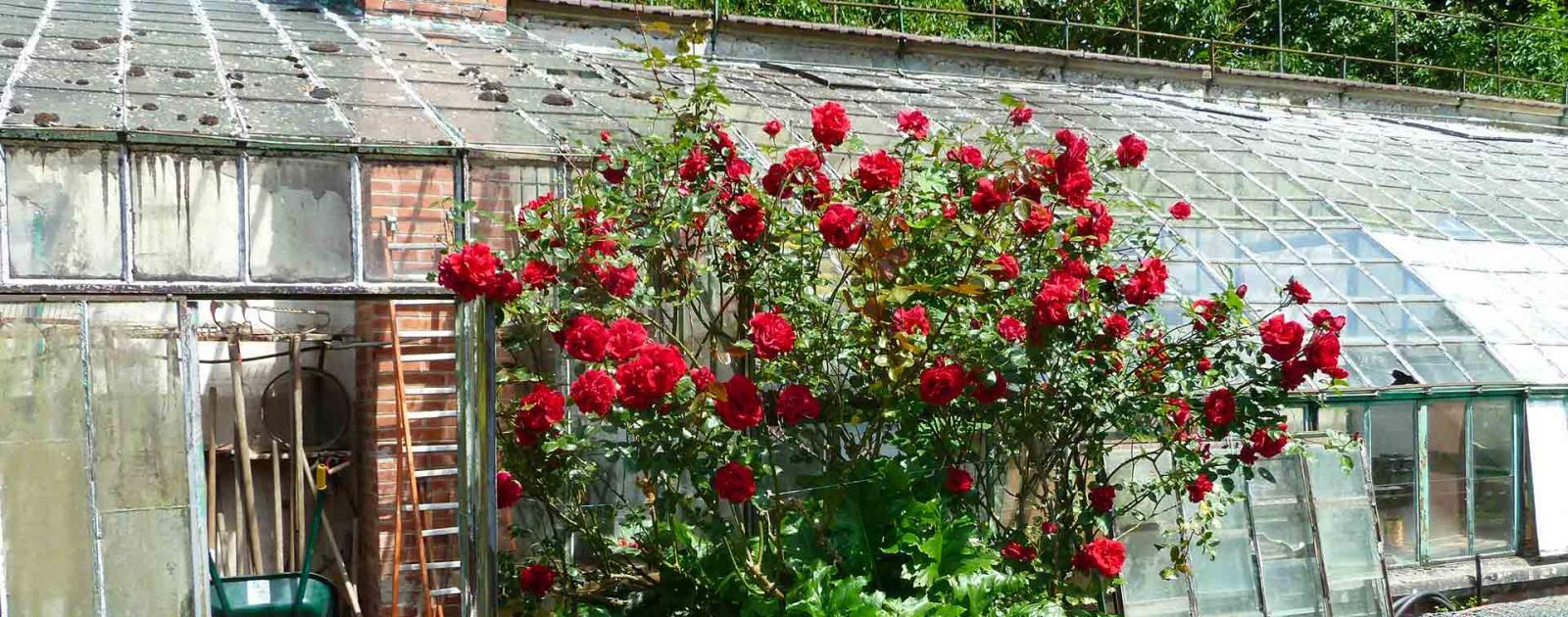 Agenda | Livry-sur-Seine